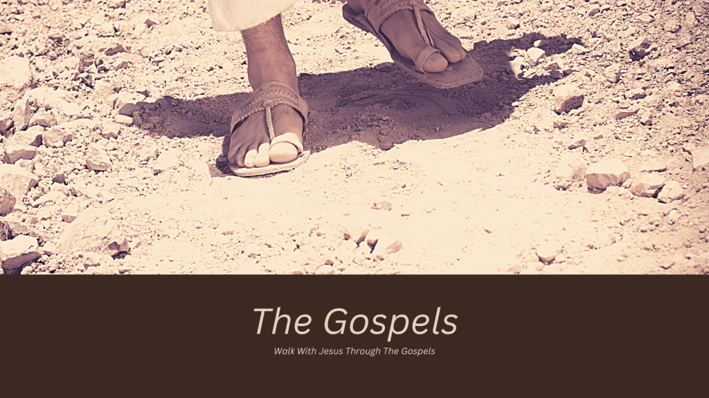 The Gospels Set 13 Discussion & Heart Check Questions